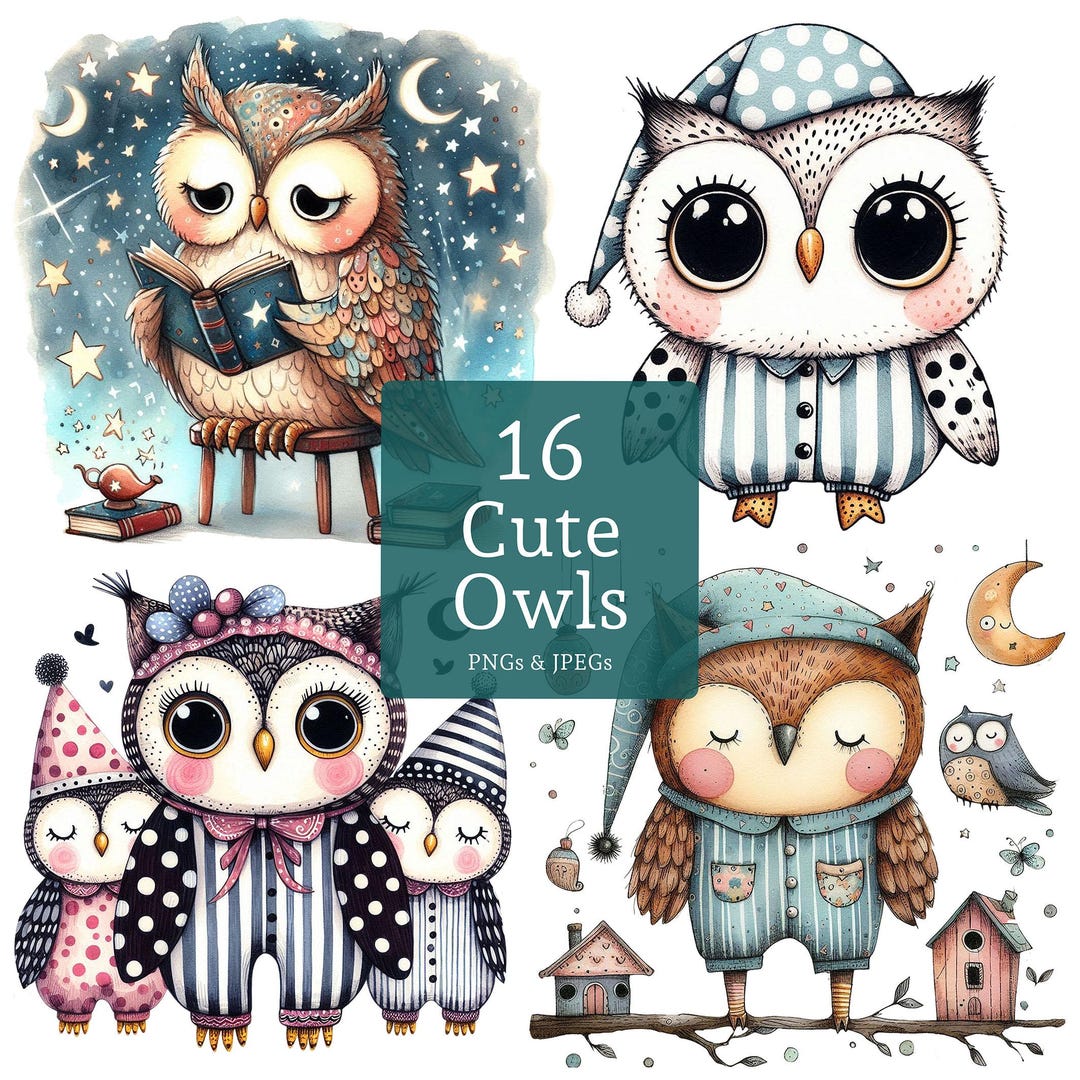 Cute Owl Clipart Set, 16 High Quality Pngs/jpgs, Whimsical Bird Clipart ...