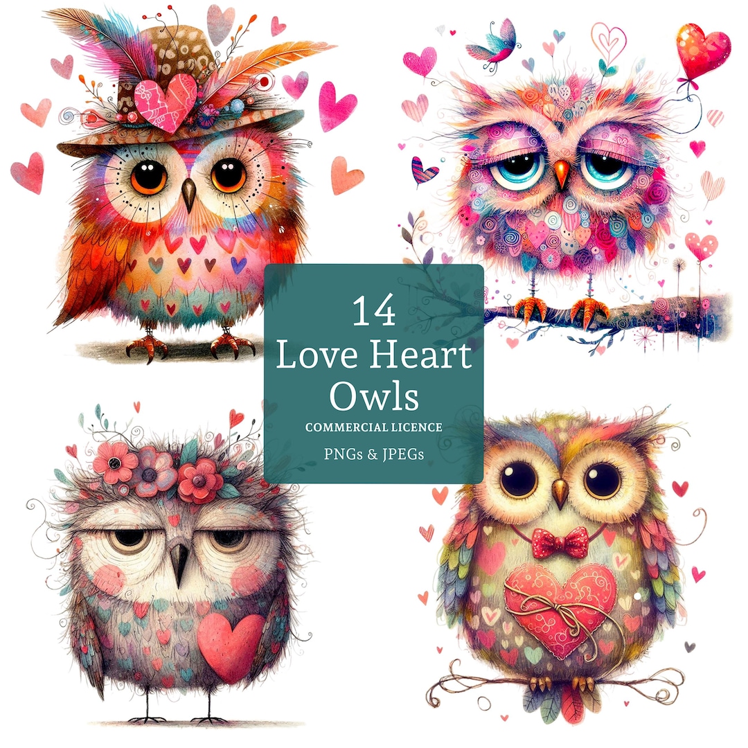 Love Heart Owl Clipart, 14 High Quality Pngs/jpgs, Valentine Birds ...