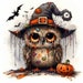 Halloween Owls Clipart 15 Pngs/jpgs, Funny Halloween Designs, Witch Hat ...
