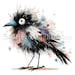 Scruffy Magpie Clipart, 12 High Quality Pngs/jpgs, Quirky Bird Images ...