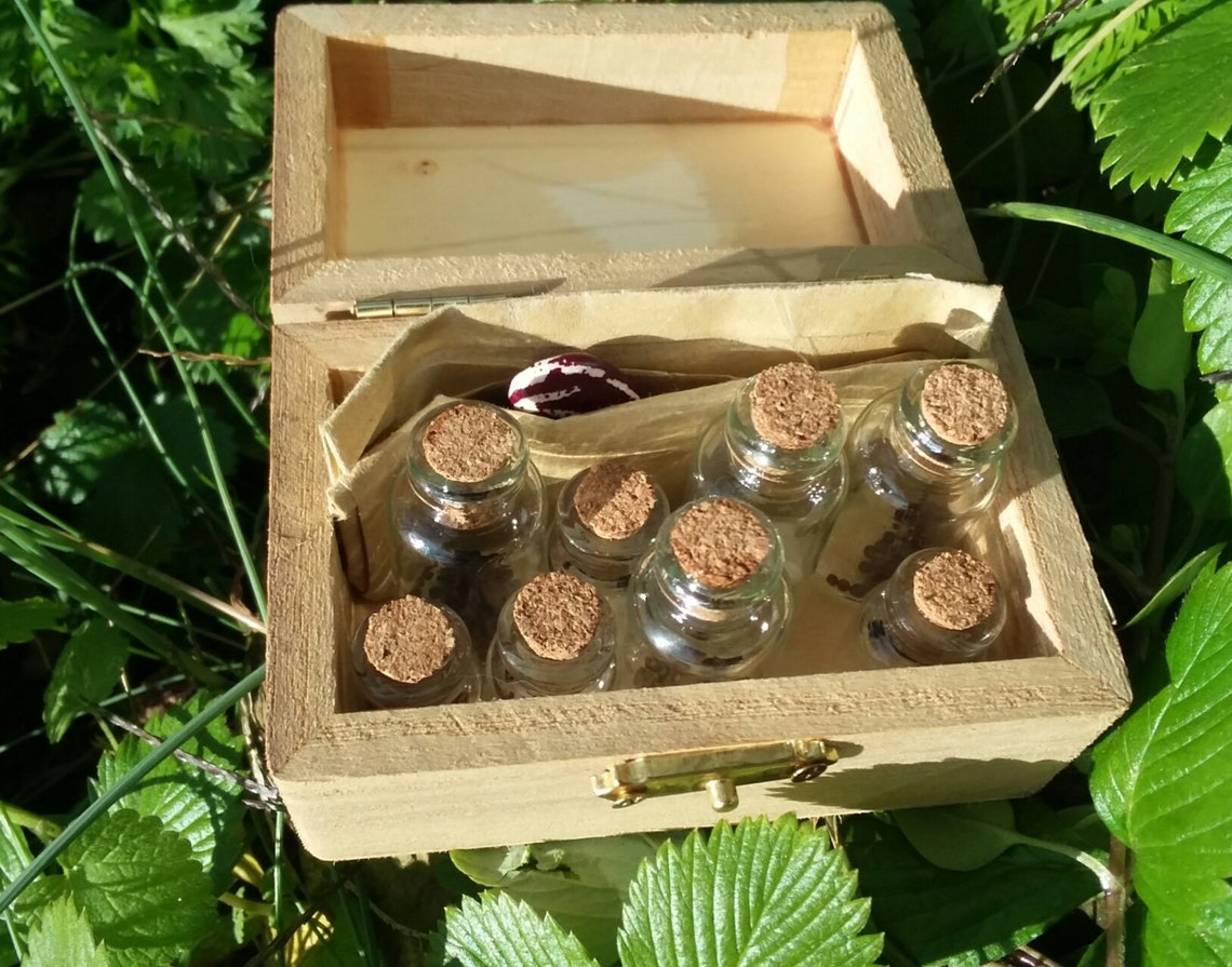Medieval Potager Garden Seed Kit - Etsy