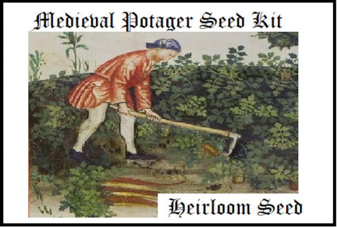 Medieval Potager Garden Seed Kit - Etsy