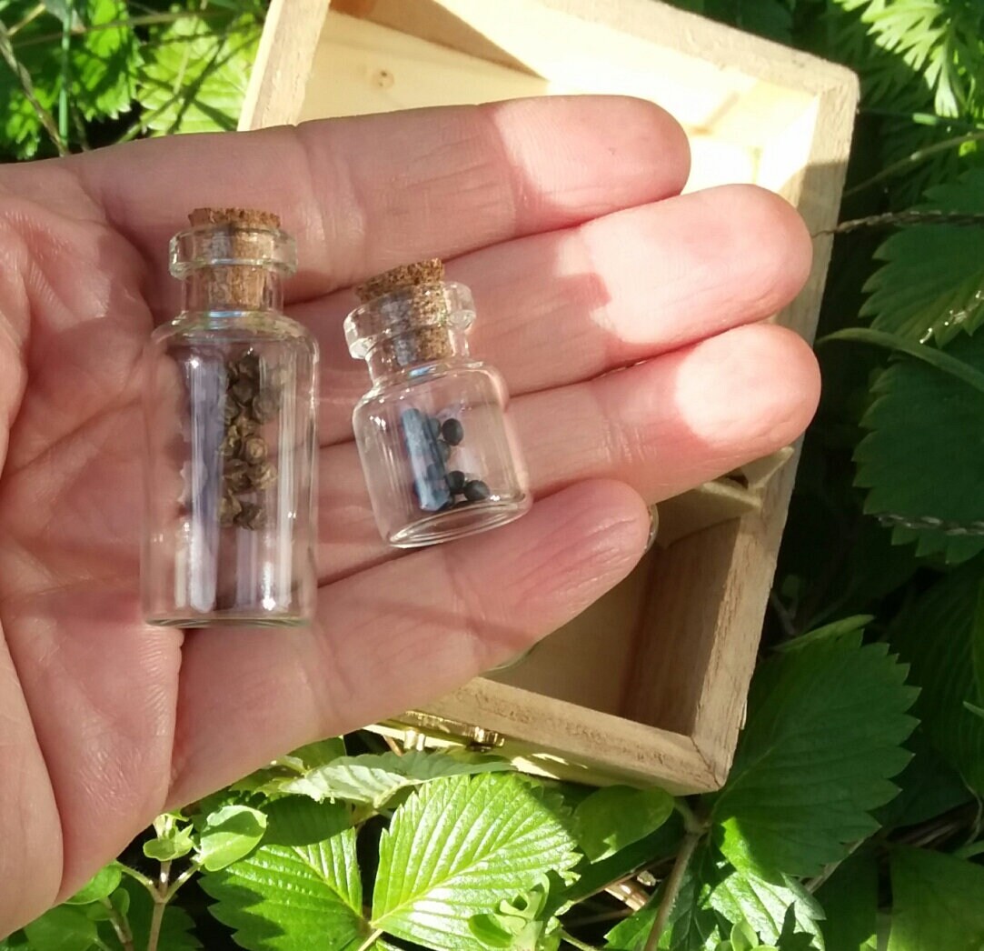 Medieval Potager Garden Seed Kit - Etsy