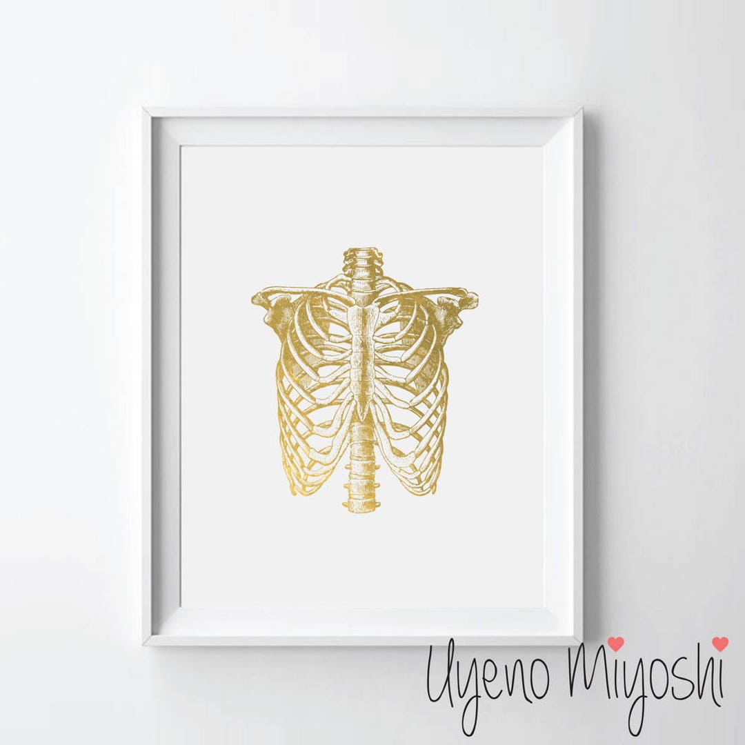 Human Thorax Anatomy Gold Foil Print, Gold Print, Custom Print in Gold ...