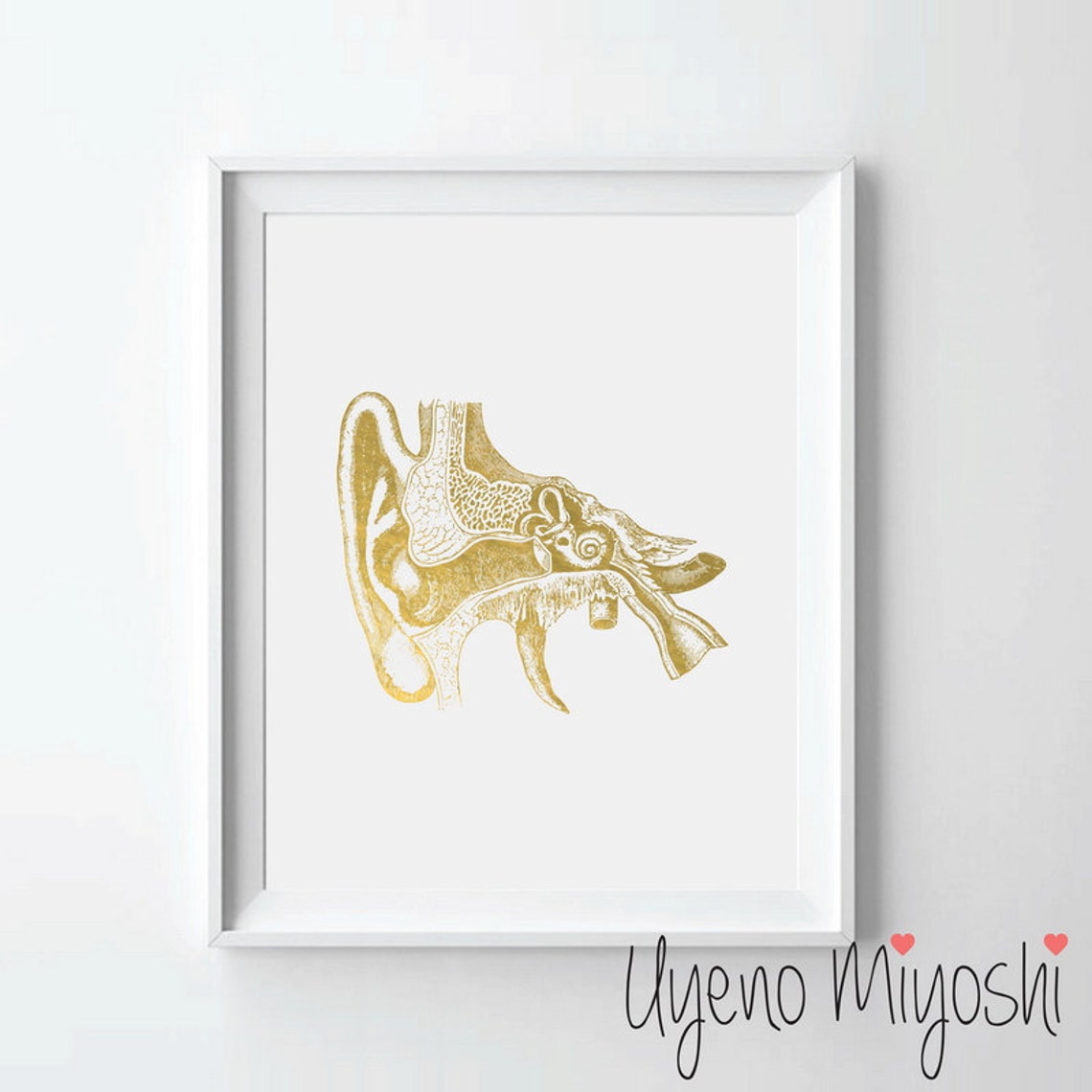 Human Ear Anatomy Gold Foil Print, Gold Print, Custom Print in Gold ...
