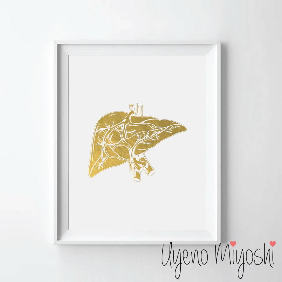 Human Liver Anatomy Gold Foil Print, Gold Print, Custom Print in Gold ...