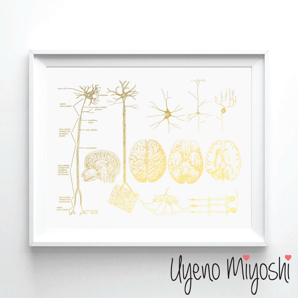 Neurons III Gold Foil Print, Neuroscience Gold Print, Neuroscience Art ...