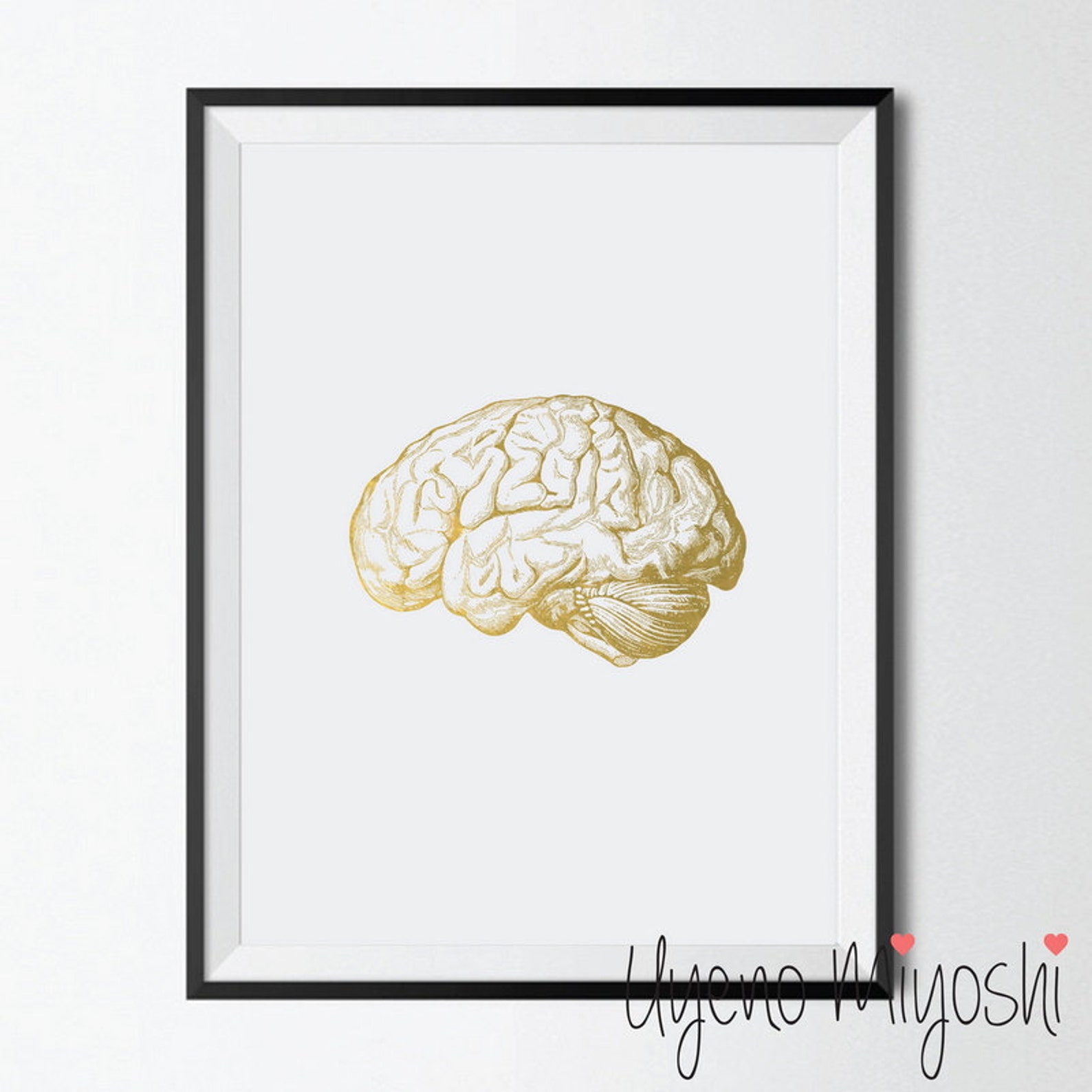 Human Brain Anatomy I Gold Foil Print, Gold Print, Custom Print in Gold ...