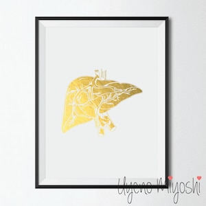 Human Liver Anatomy Gold Foil Print, Gold Print, Custom Print in Gold ...