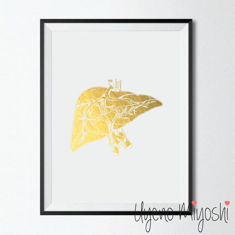 Human Liver Anatomy Gold Foil Print, Gold Print, Custom Print in Gold ...