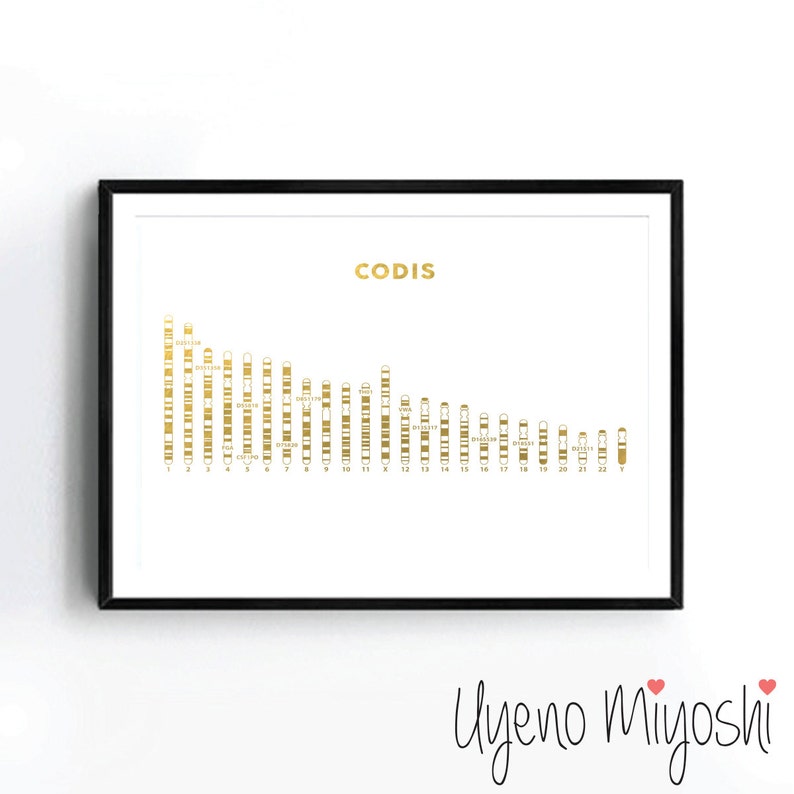 Combined DNA Index System Gold Foil Print, Gold Print, Custom Print in ...