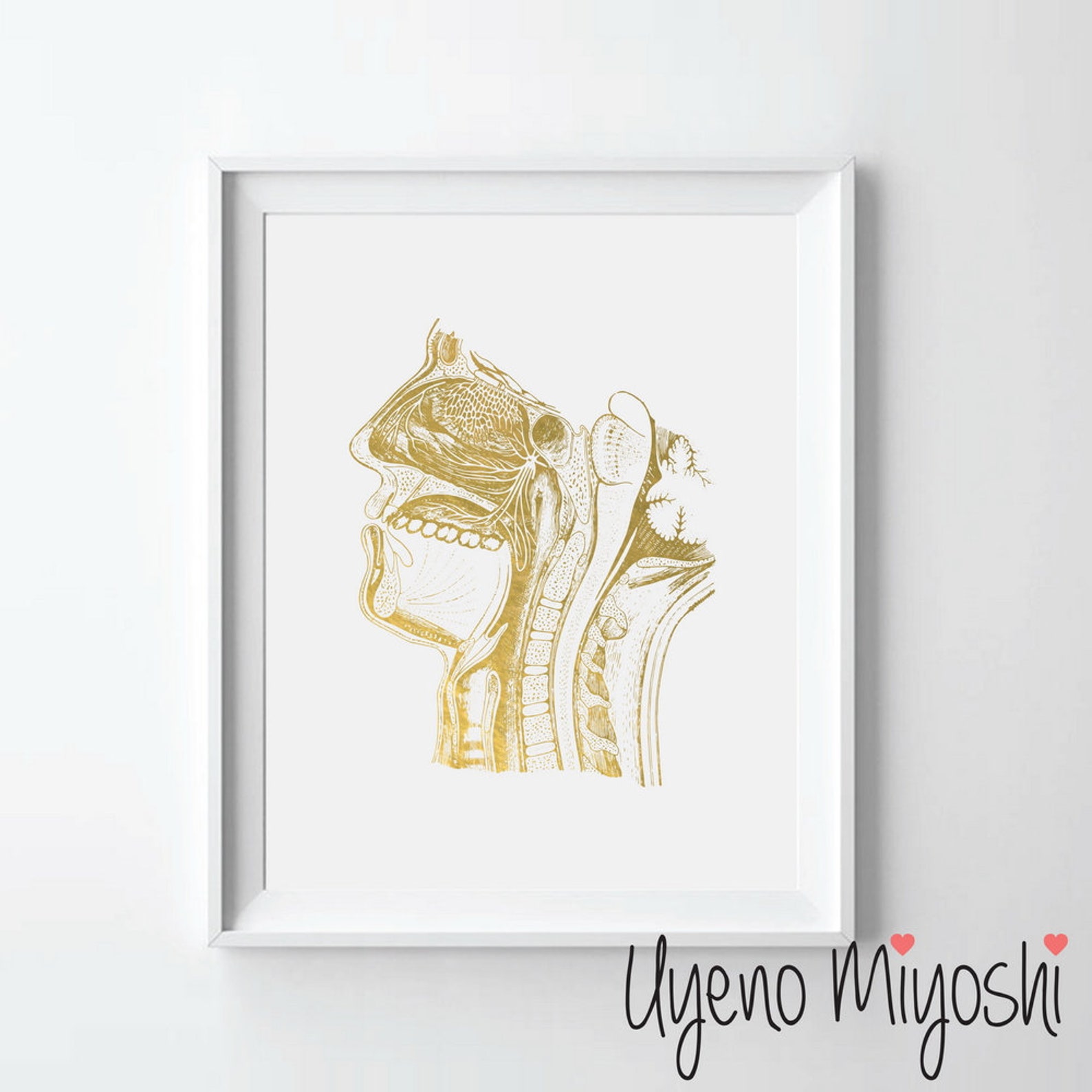 Human Head and Neck Anatomy Gold Foil Print Gold Print Human | Etsy