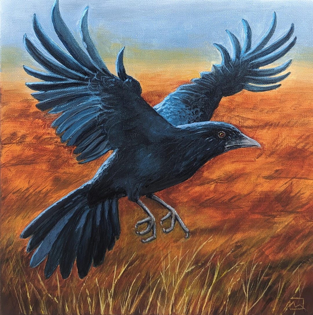 12 X 12" Raven Taking Flight Original Acrylic Painting on 1.5" Wrapped ...