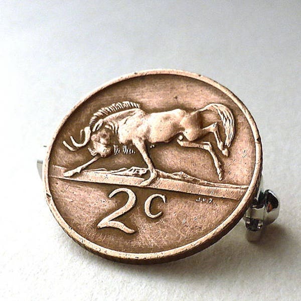 South Africa Pin - Etsy