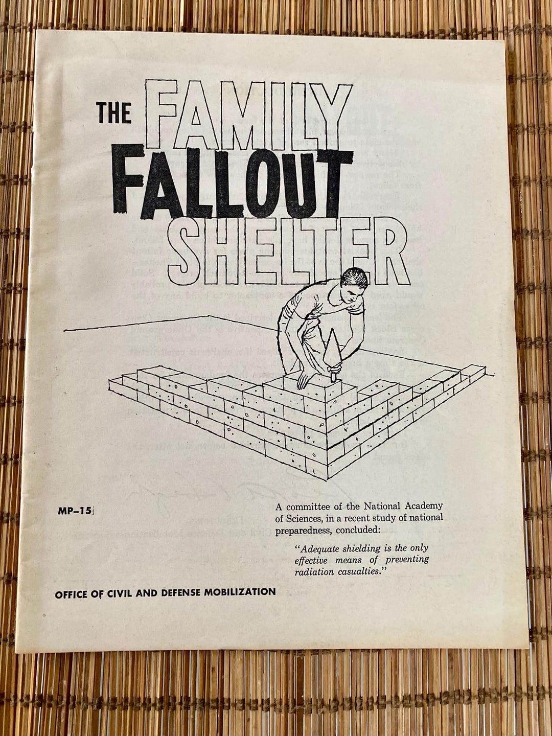 Family Fallout Shelter / Vintage Survival / Pamphlet /vintage ...