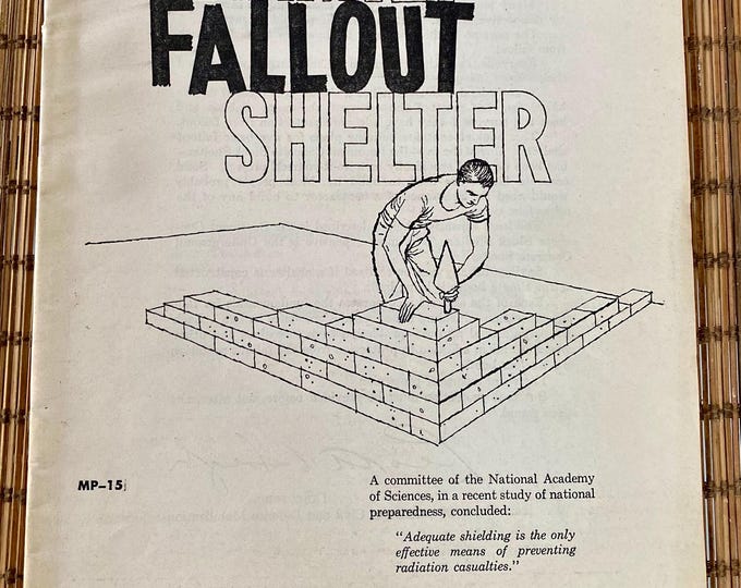 Family Fallout Shelter / Vintage Survival / Pamphlet /vintage ...