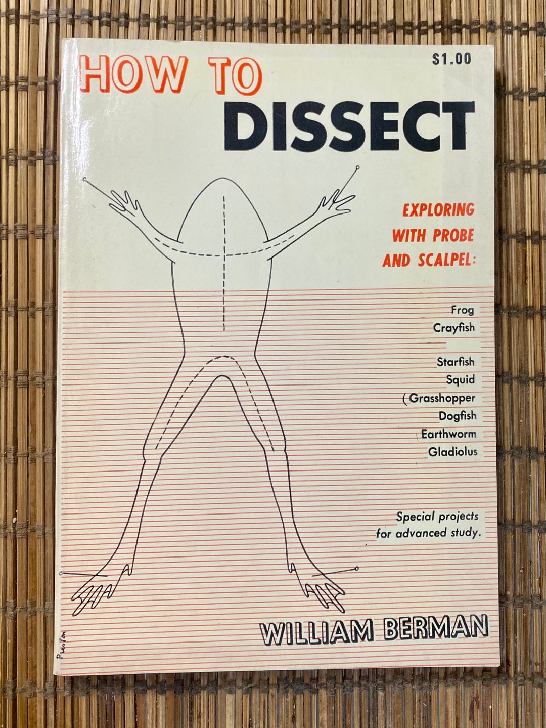 Vintage Science Book / How to Dissect / 1960s / Vintage Book - Etsy