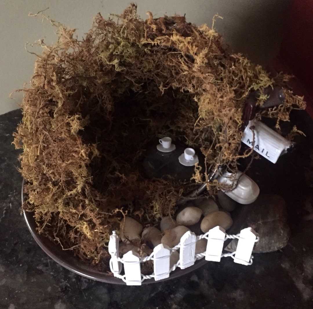 DIY Moss Teacup Fairy Garden Kit...mini Garden for Indoor Gardening - Etsy