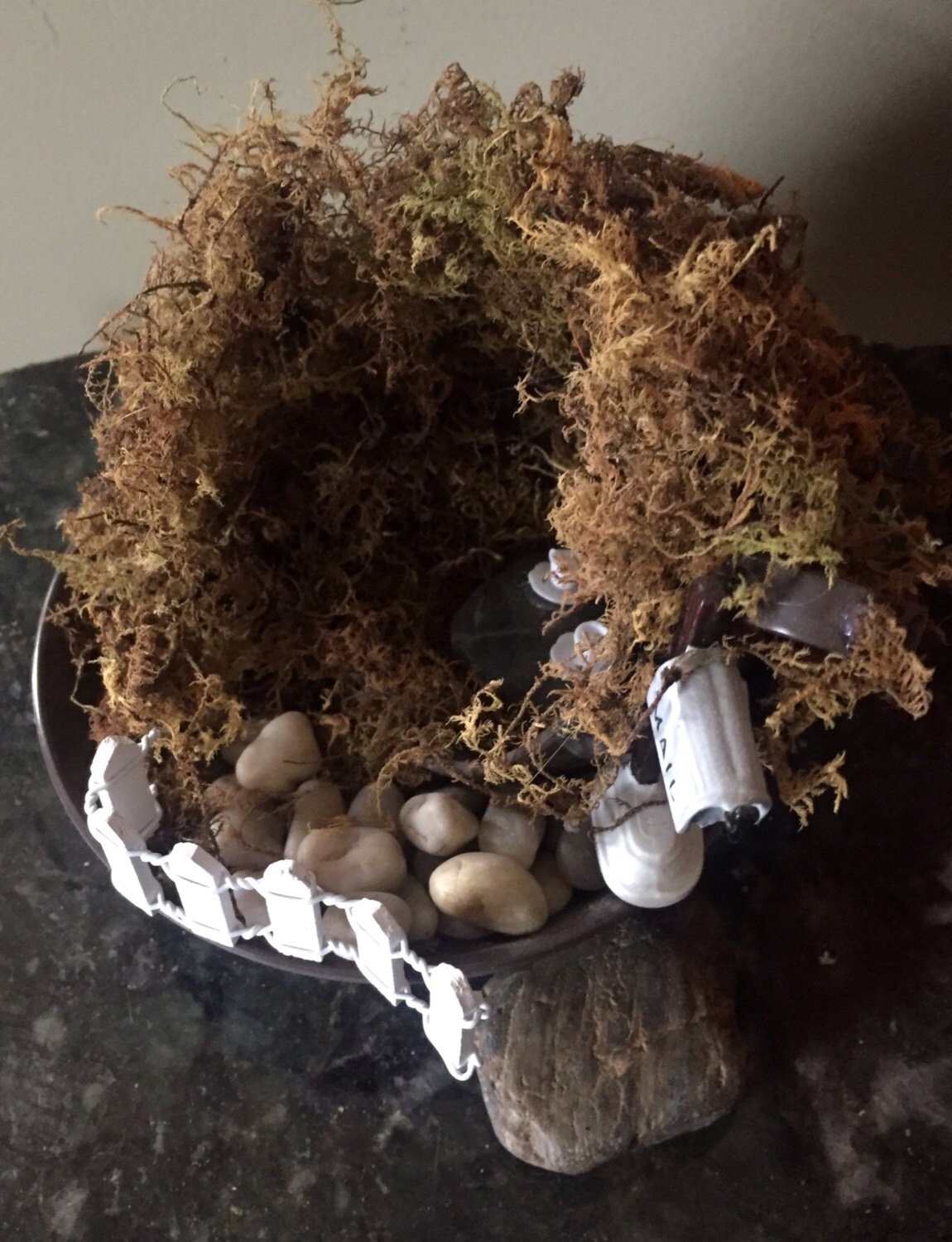 DIY Moss Teacup Fairy Garden Kit...mini Garden for Indoor | Etsy
