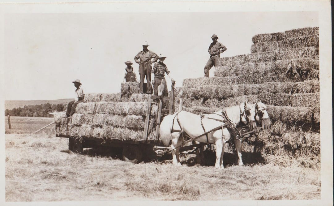 Vintage 1950s Black and White Photograph ~ Real Life Colorado Cowboys ...