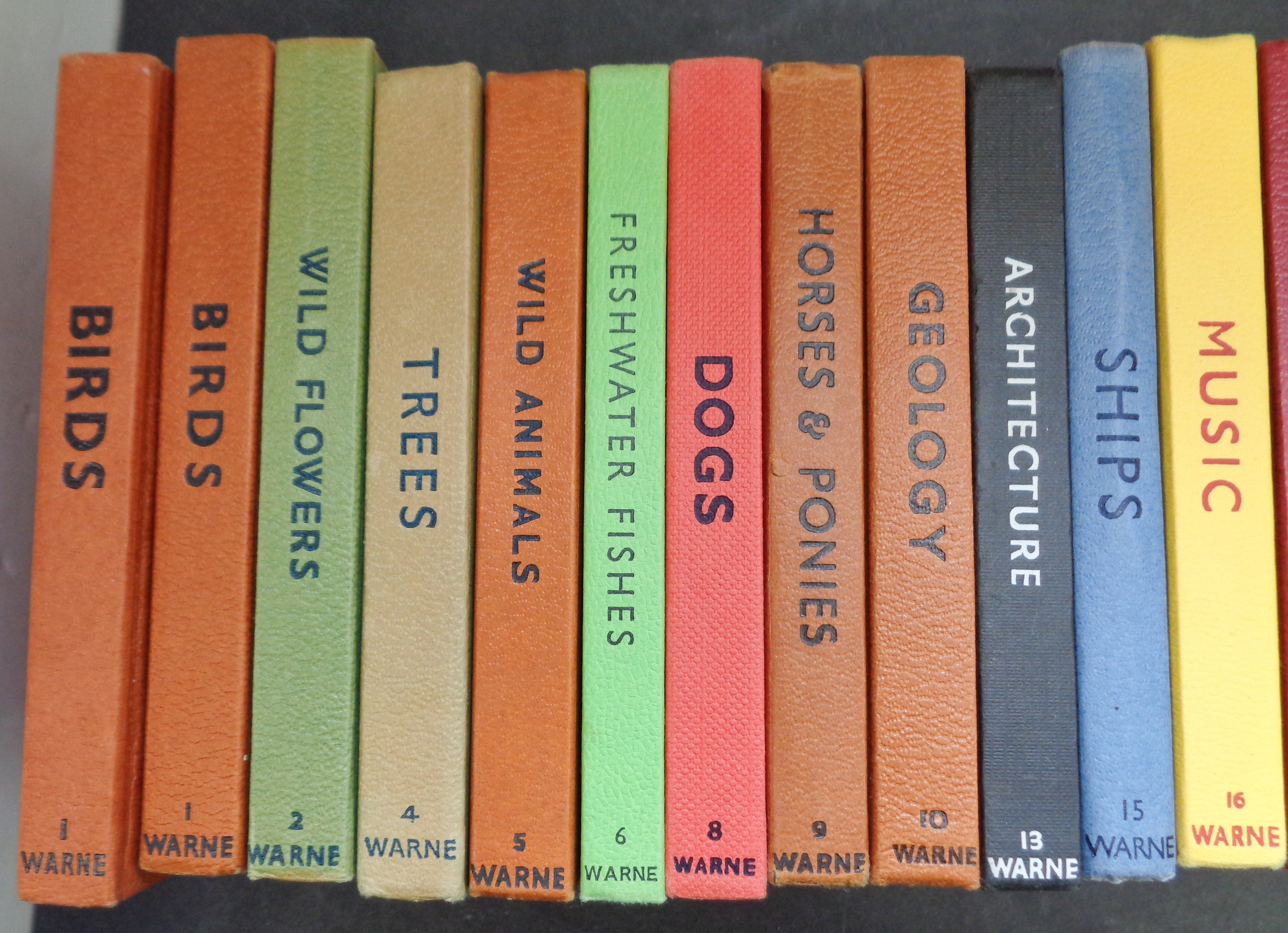 Vintage Observers Books Various Titles Coloured Cloth - Etsy UK