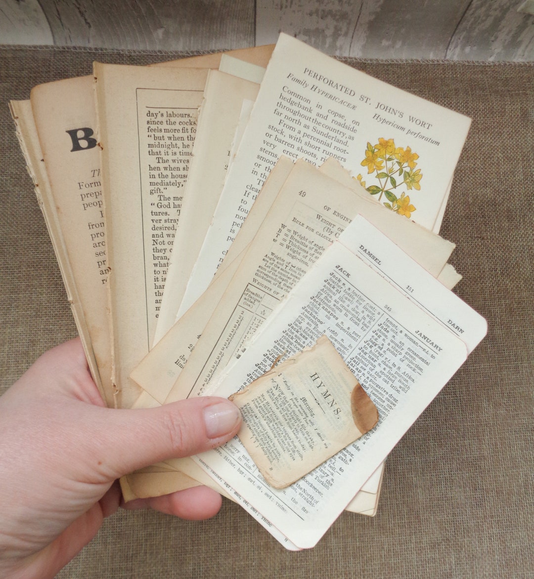 50 X Antique & Vintage Small Book Pages for Crafting (7 X 5 Inch Size ...