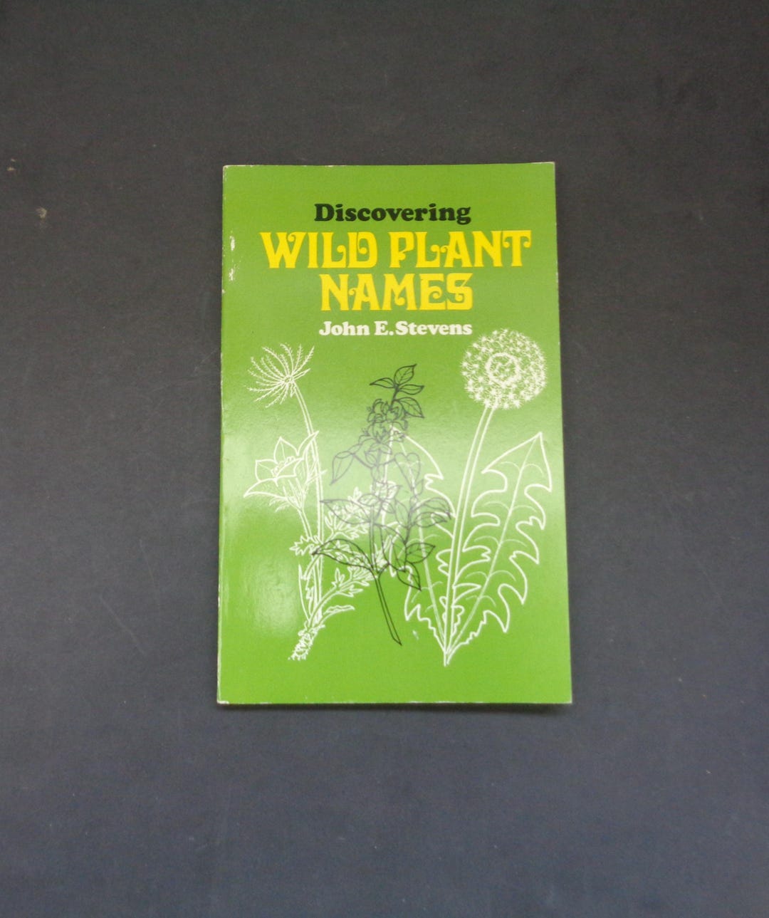 Discovering Wild Plant Names by John E Stevens (PB) 1979 - Etsy
