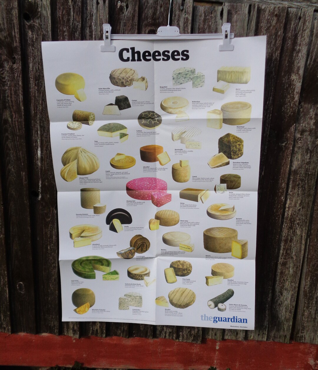 Large Wall Chart - Cheeses - the Guardian - Etsy