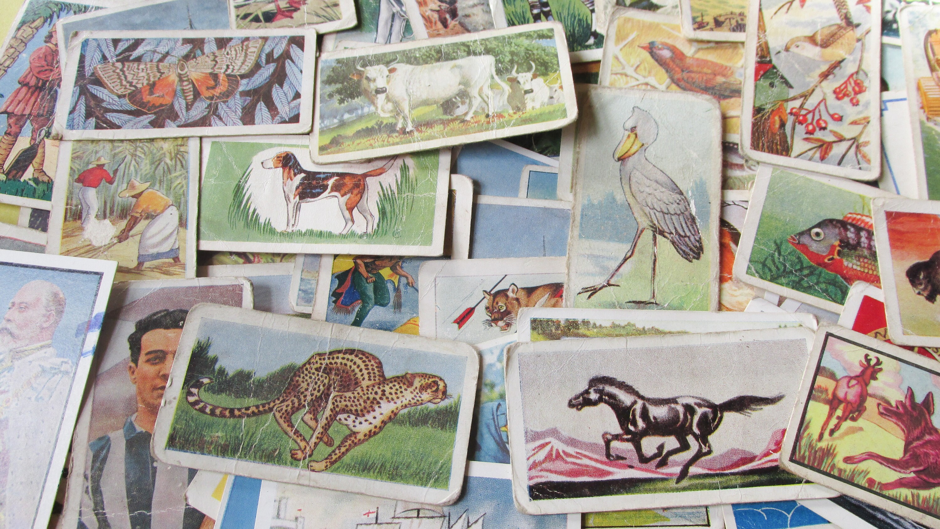 30 Vintage Tea Cards Mix of Cards - Etsy