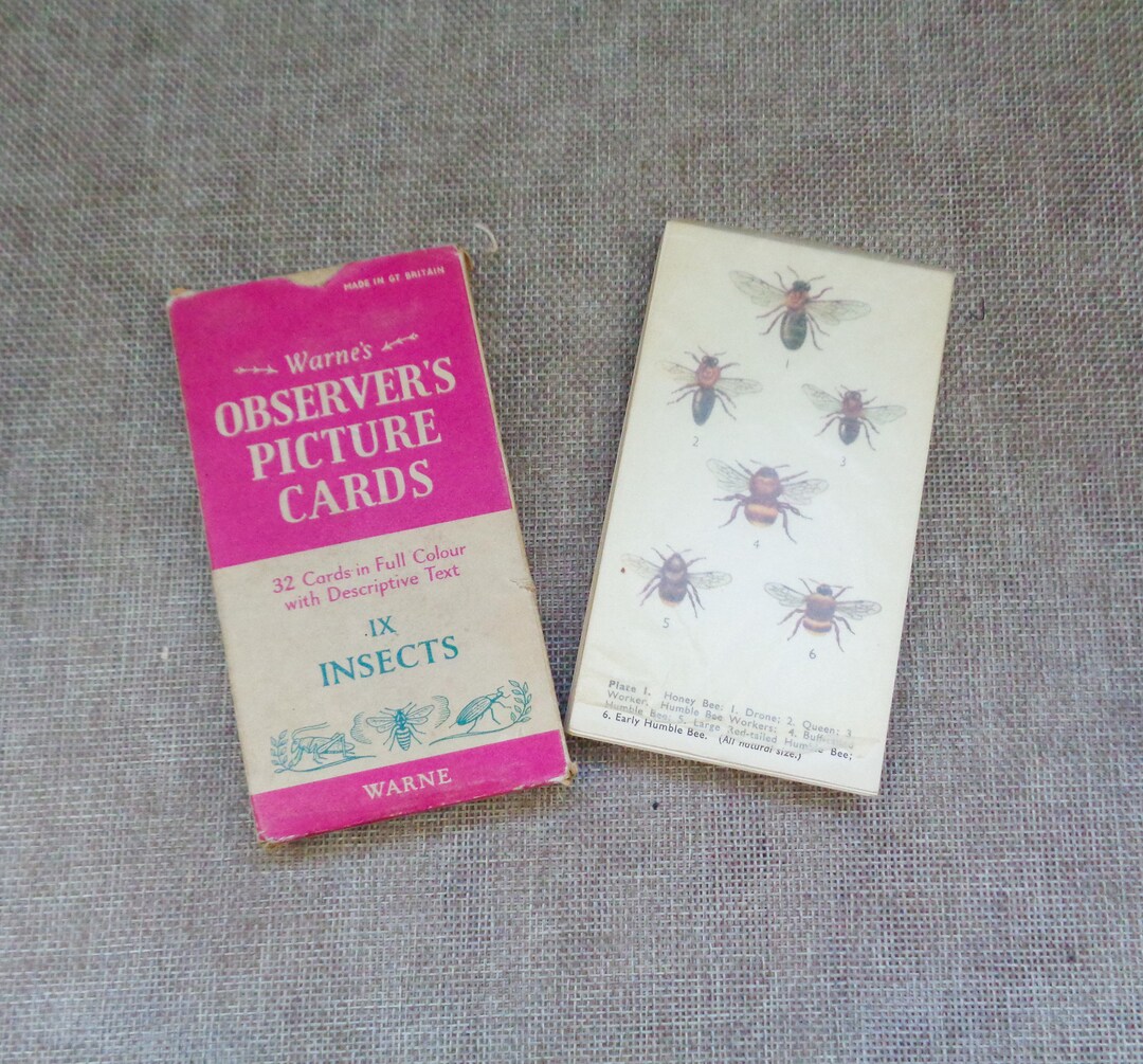 Pack of Observer's Picture Cards - IX Insects - Etsy