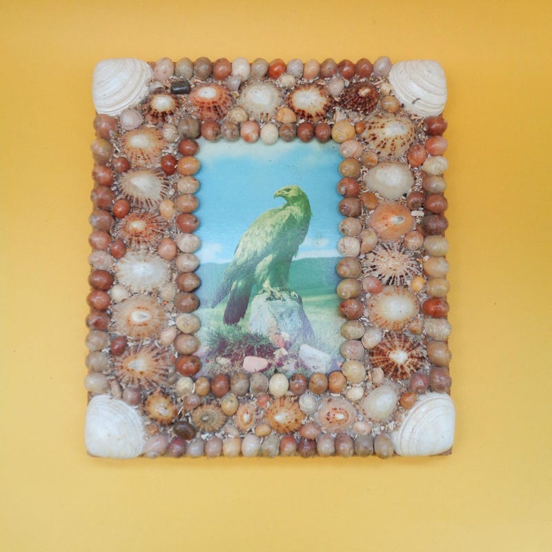 Shell Frame - Etsy