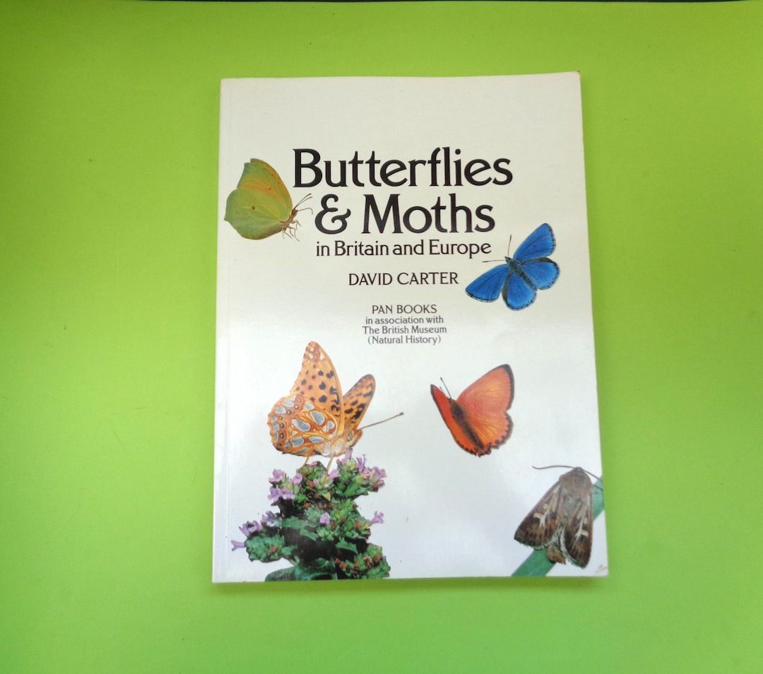 Butterflies and Moths in Britain and Europe by David Carter - Large ...