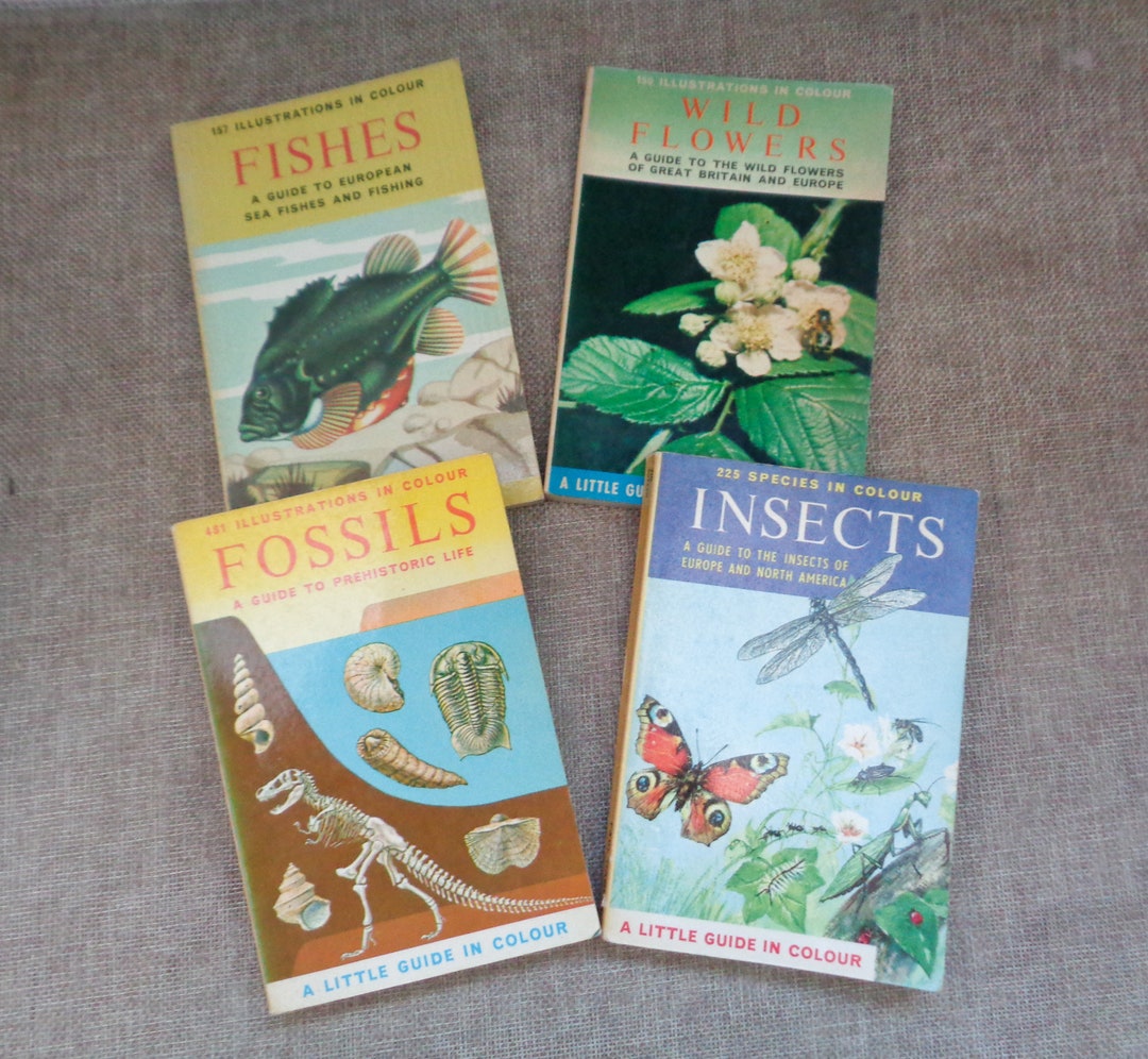 Vintage Nature Books - Hamlyn A Little Guide in Colour Books (PB ...