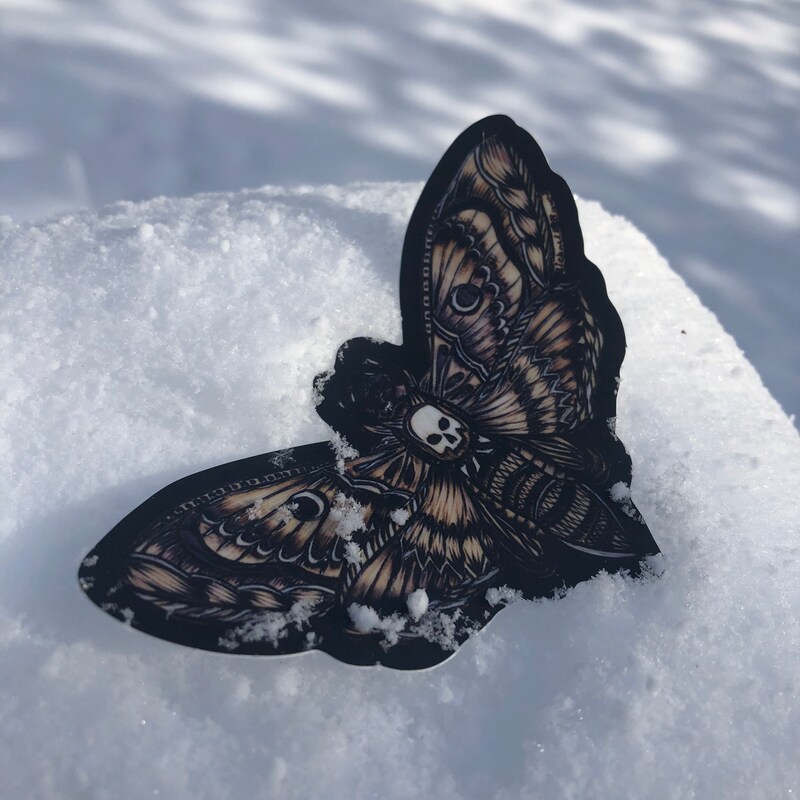 Moth Laptop Sticker - Etsy