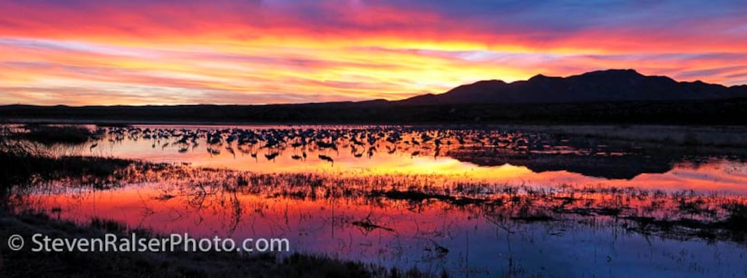 Bosque Del Apache Sunset, Socorro, New Mexico Color Photograph - Etsy