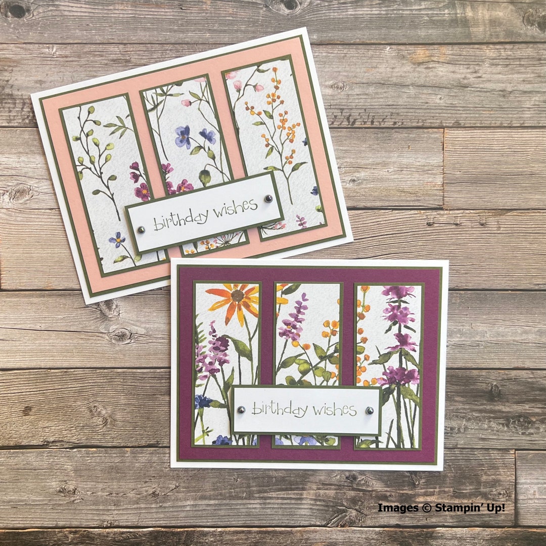 Card Making Kit-3 Panel Dainty Flowers: 4 Card Kit (2 Each of 2 Colors ...