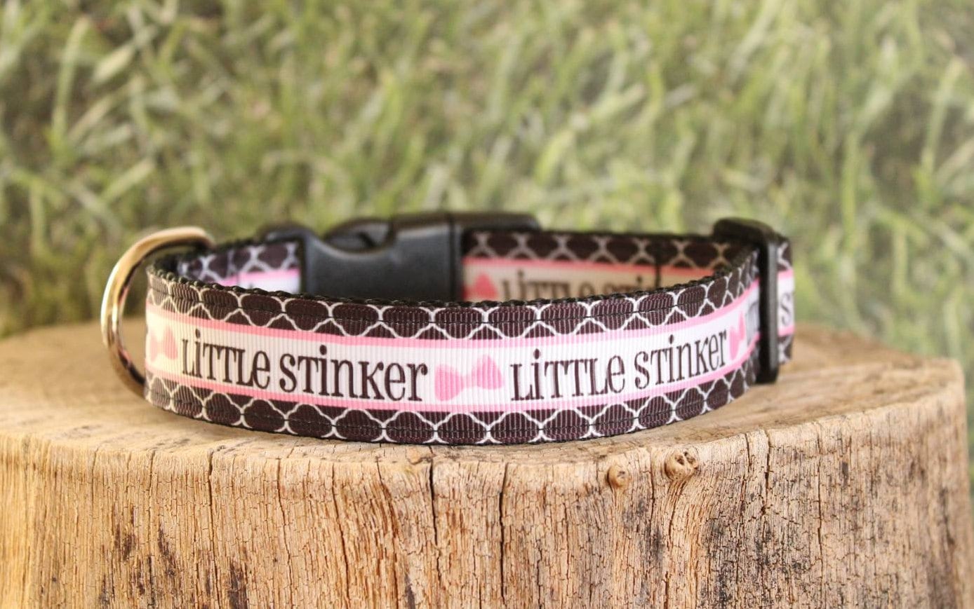 Little Stinker Dog Collar Skunk 1 Inch Funny Dog Collar | Etsy