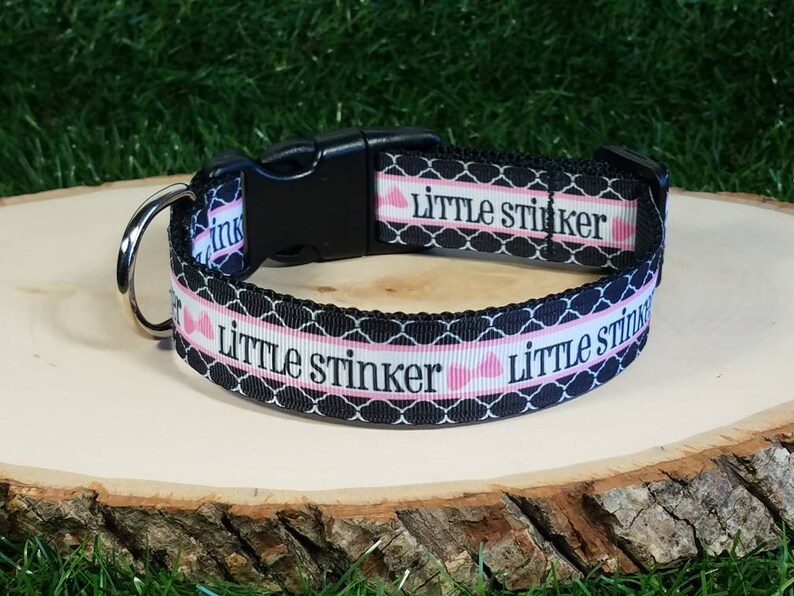 Little Stinker Dog Collar Skunk 1 Inch Funny Dog Collar | Etsy
