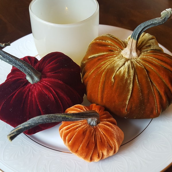 Velvet Pumpkin - Etsy