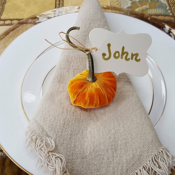 Pumpkin Stems - Etsy