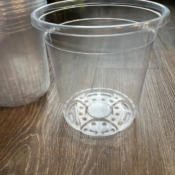Large Clear Plant Pots - Etsy