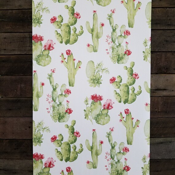 Watercolor Boho Cactus Green Pink White Contemporary Botanical | Etsy