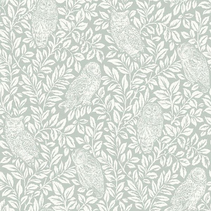 Kids Owls Wallpaper - Etsy