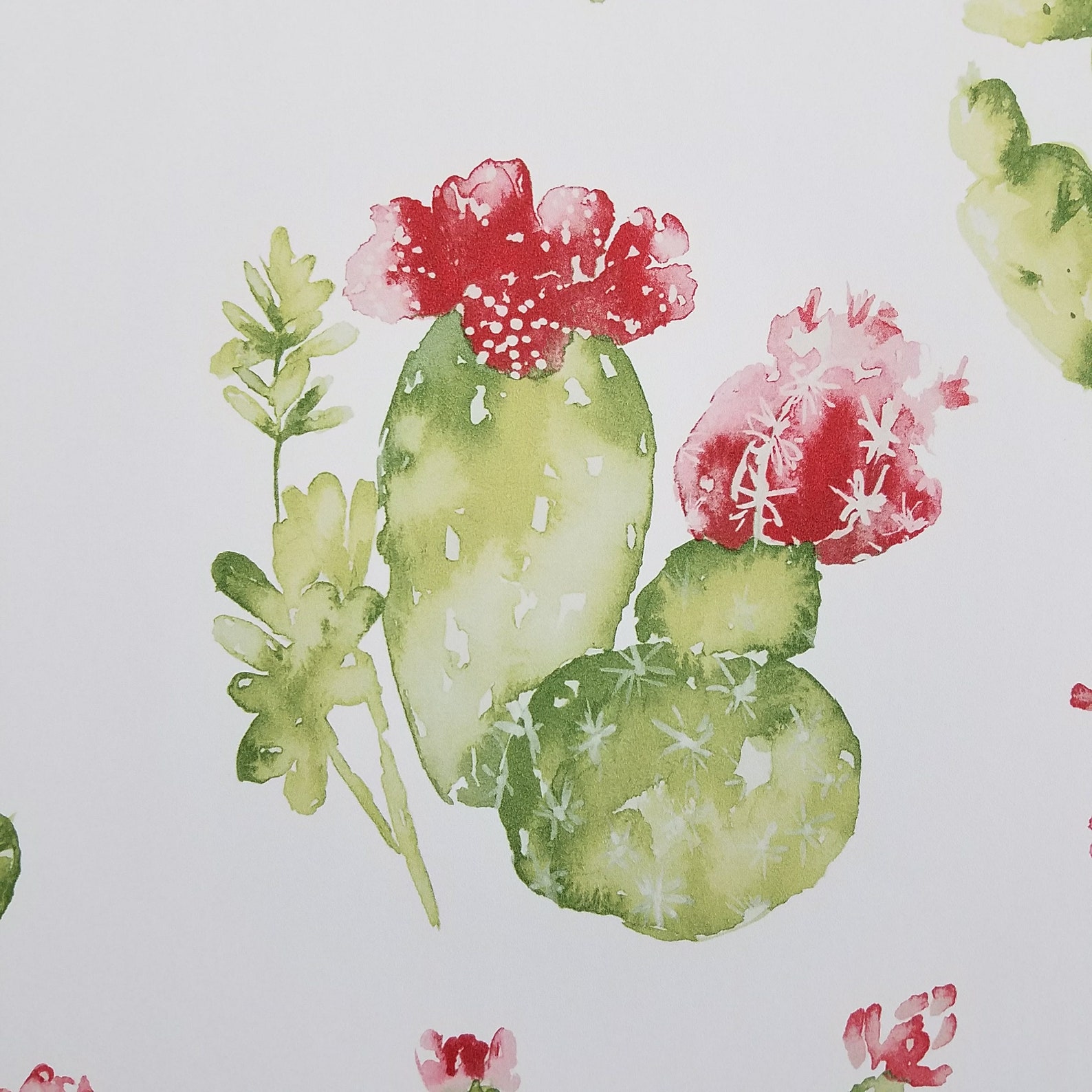 Watercolor Boho Cactus Green Pink White Contemporary Botanical - Etsy