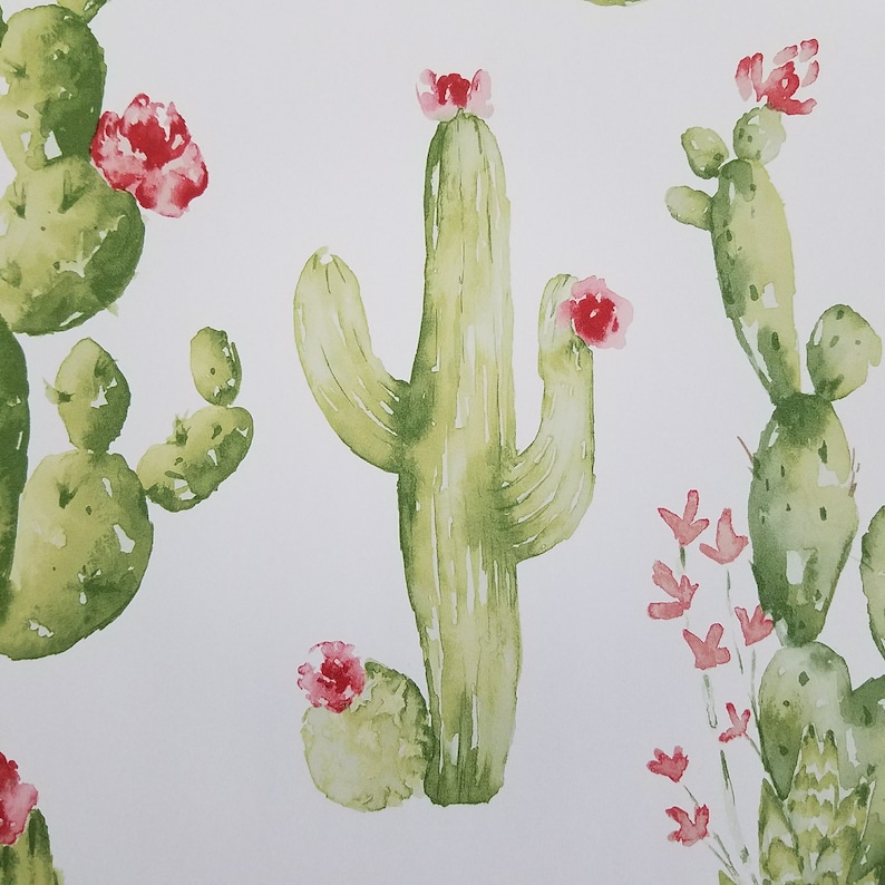 Watercolor Boho Cactus Green Pink White Contemporary Botanical - Etsy
