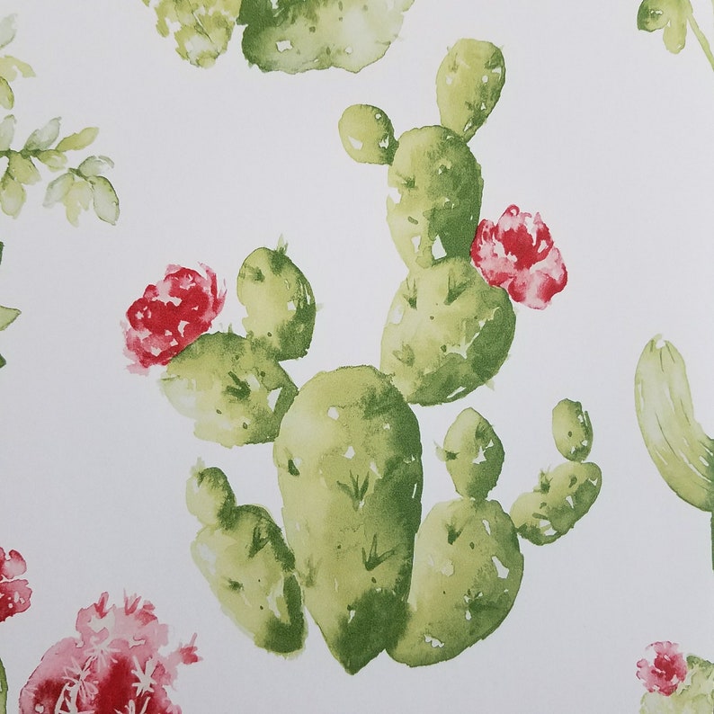 Watercolor Boho Cactus Green Pink White Contemporary Botanical - Etsy