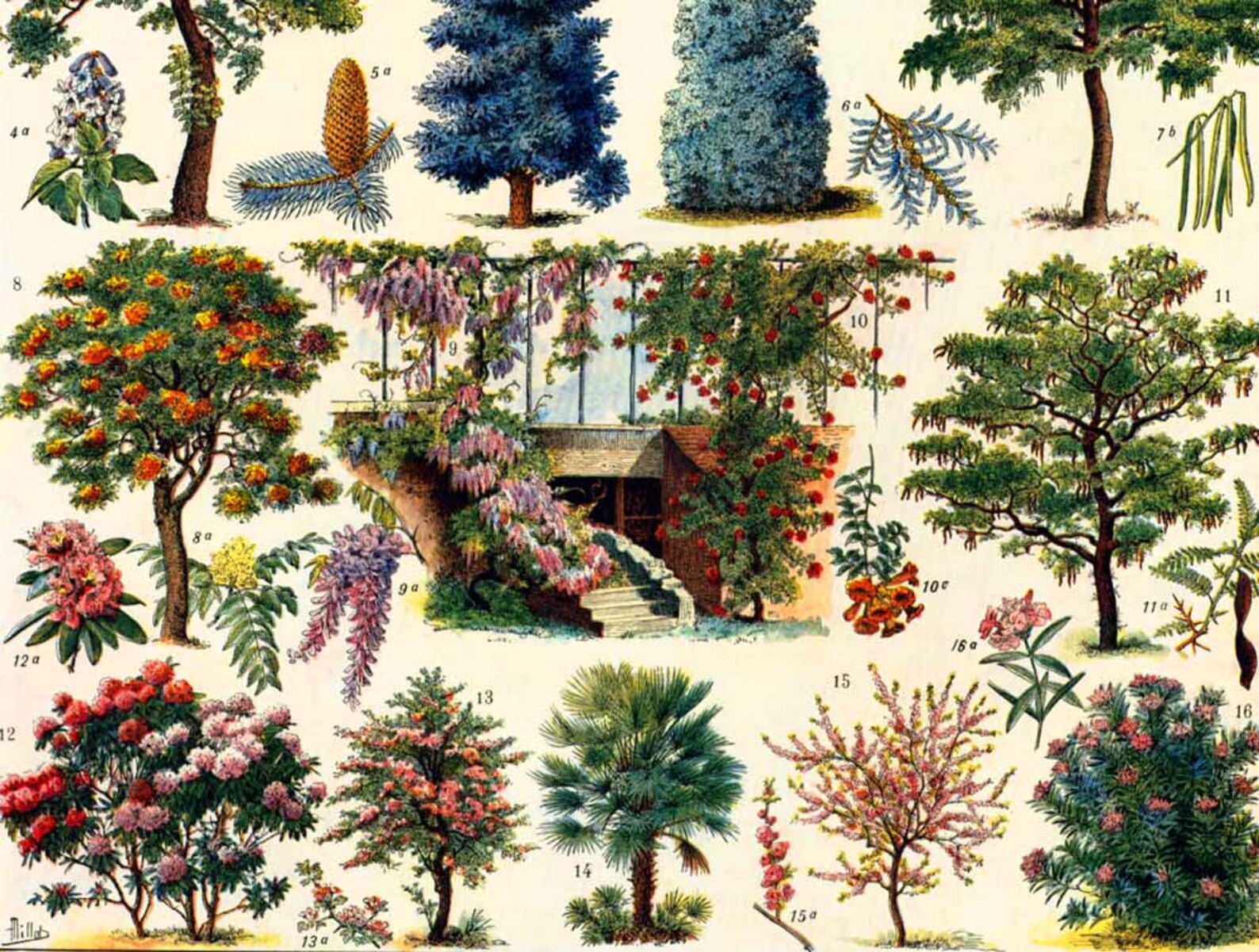 1933 Vintage Trees Print. Garden Trees. Antique Ornamental - Etsy