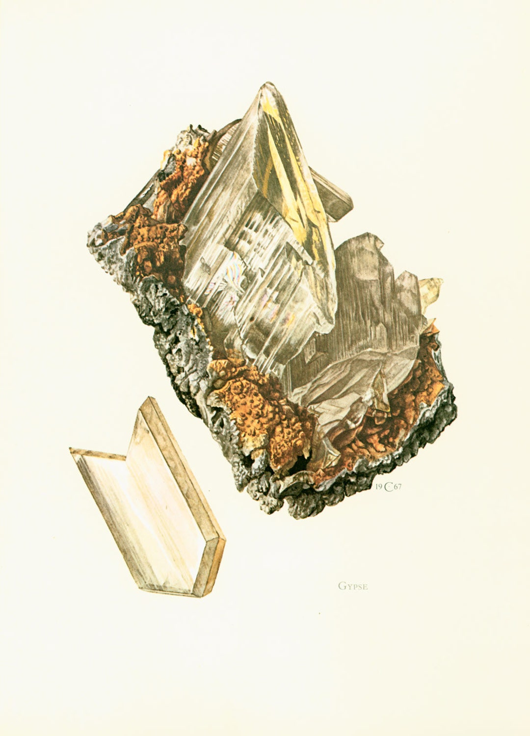 1970 Gypsum Selenite Crystals Print. Minerals Wall Art. Vintage Geology ...