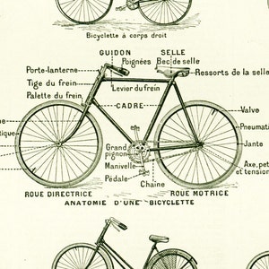 1897 Vintage Bike Print. Antique Cycle Illustration Original Larousse ...