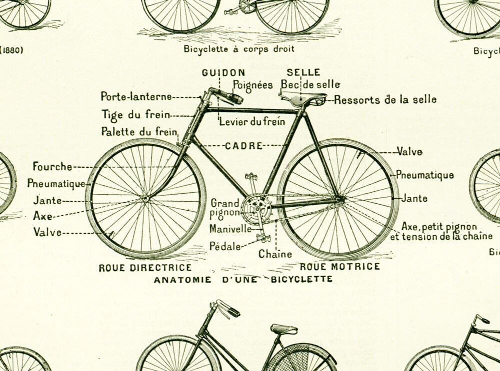 1897 Vintage Bike Print. Antique Cycle Illustration Original - Etsy